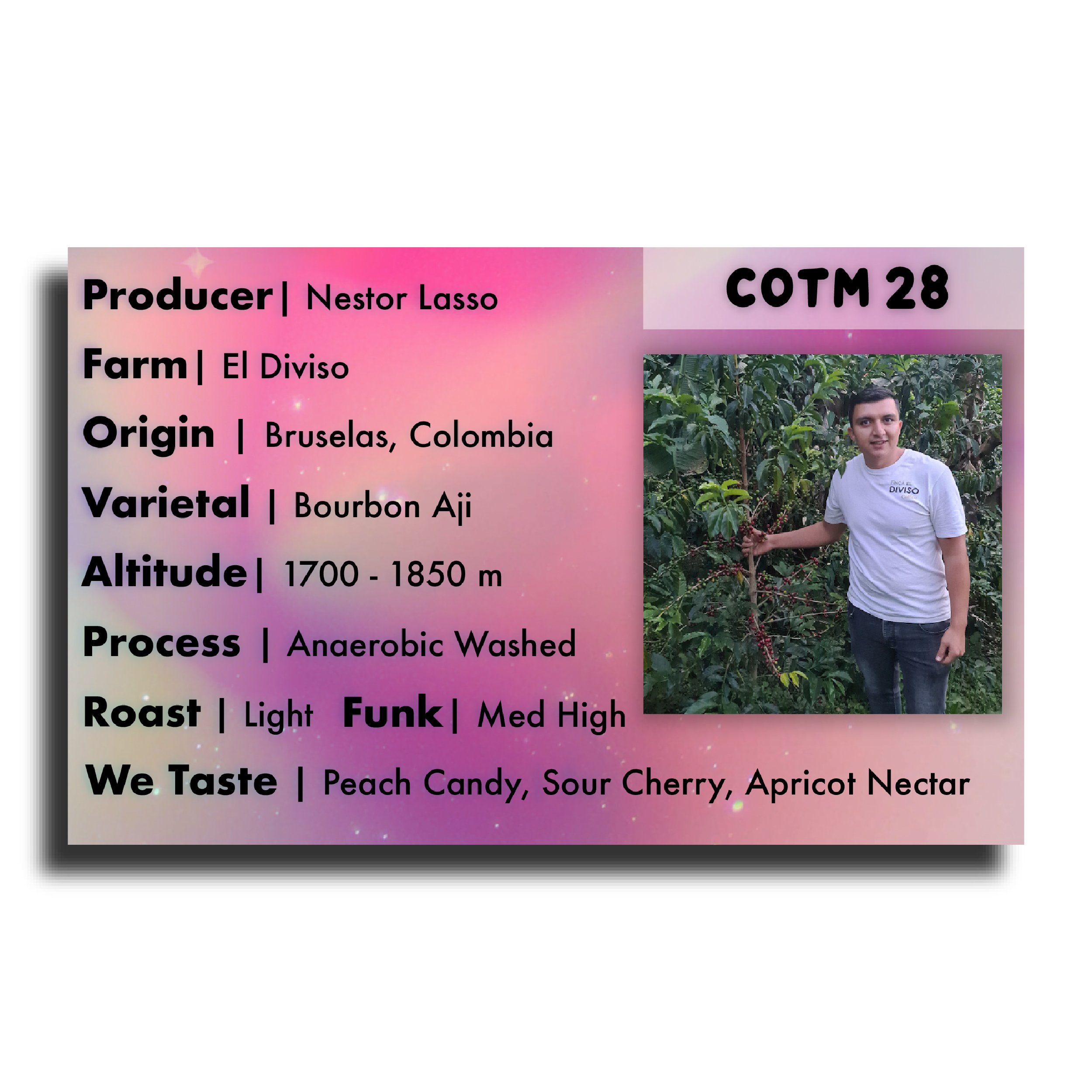 COTM 28 (Nestor Lasso | Anaerobic Washed) – Superlost Coffee