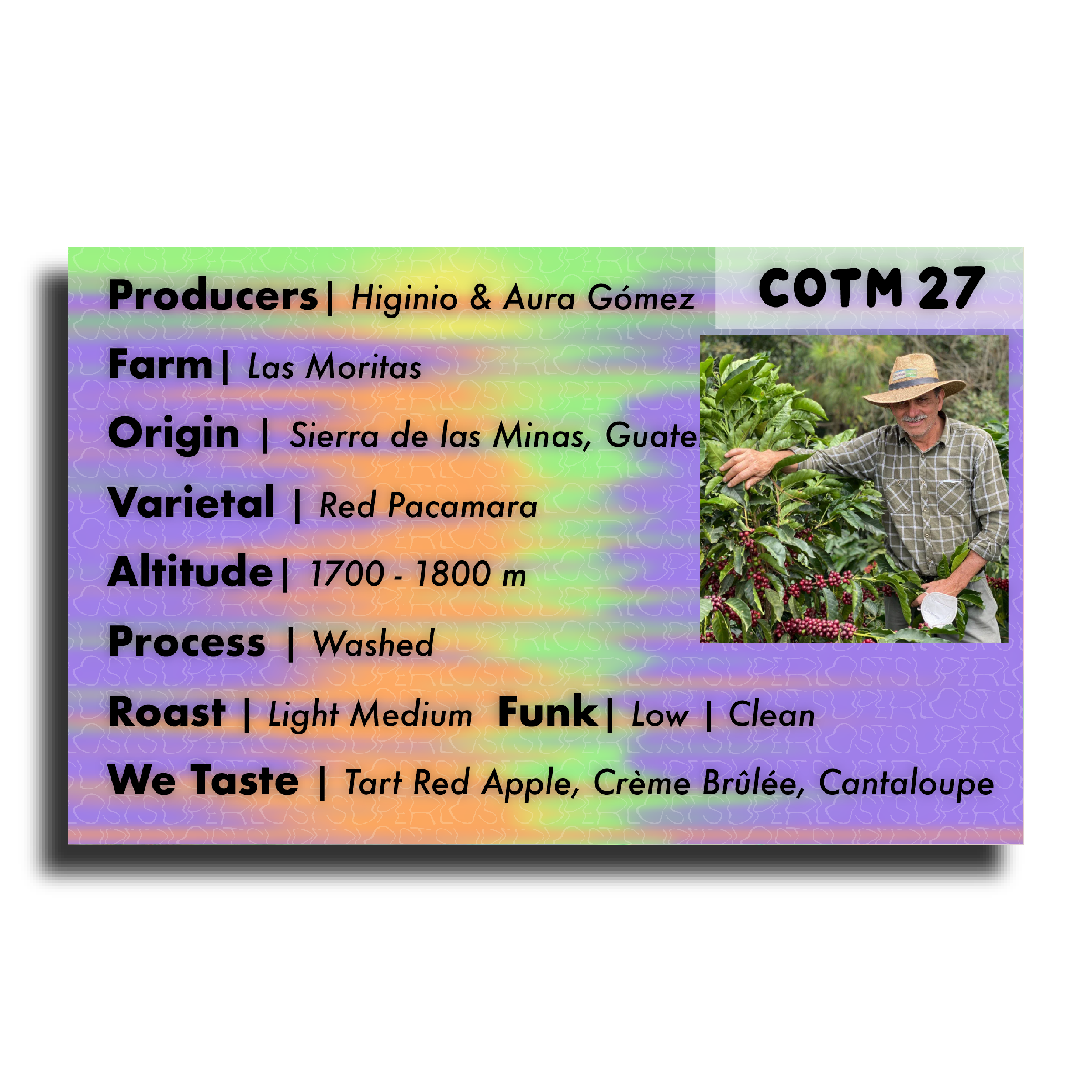 COTM 27 (Higinio & Aura Gómez - Red Pacamara) – Superlost Coffee
