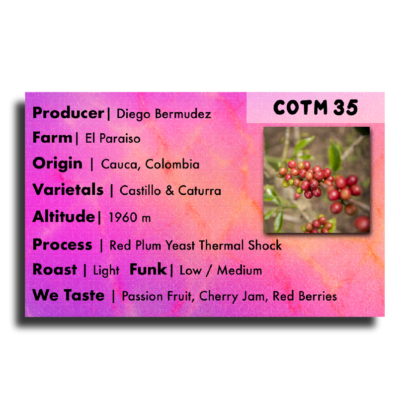 COTM 35 (Diego Bermudez | Red Plum Yeast Thermal Shock) – Superlost Coffee